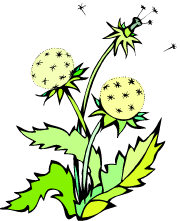 Dudva szó jelentése a WikiSzótár.hu szótárban